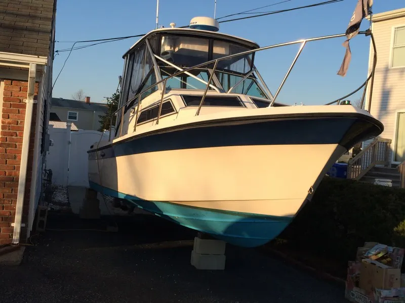 Wellcraft 248 Sportman 1984 for Sale | MarineSource