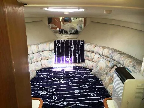 Stolper 380 Tournament Express 1998 for Sale | MarineSource
