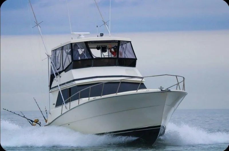 Viking 41 Convertible 1988 for Sale | MarineSource
